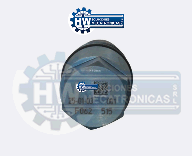 VÁLVULA DE RIEL F00N010062 PARA BOSCH, MERCEDES BENZ ANTOS